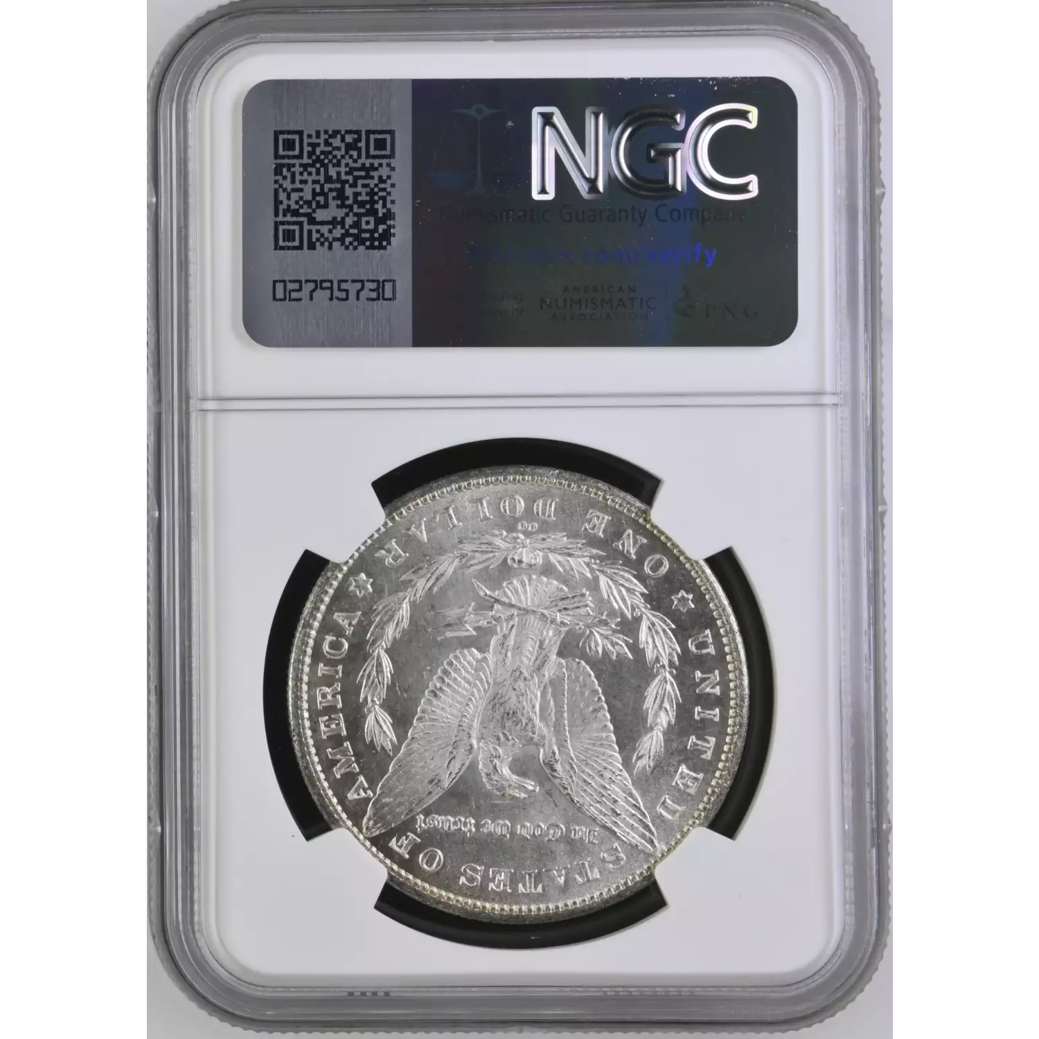 1880-CC Morgan Silver Dollar NGC MS-63 - Brian Timmons Rare Coin